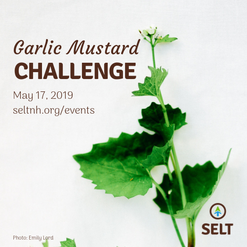 Garlic Mustard Map
