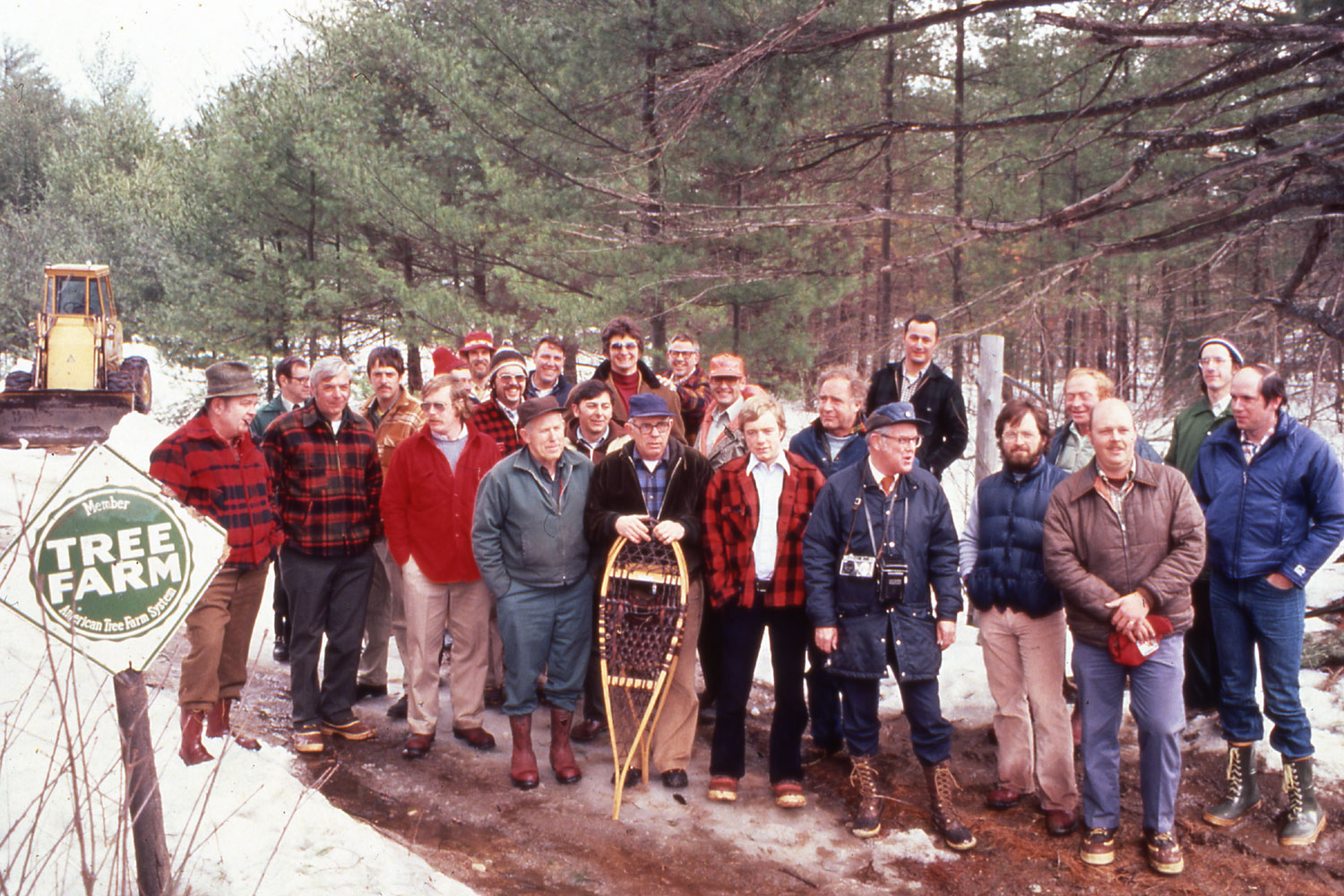 The Wooded Canvas - SELT