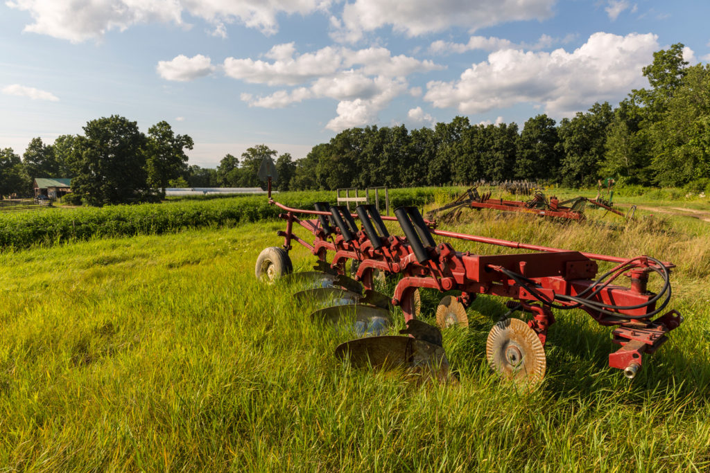 The Family Tree - SELT