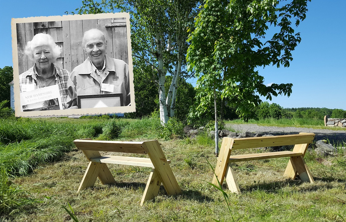 Remembering Gail - SELT