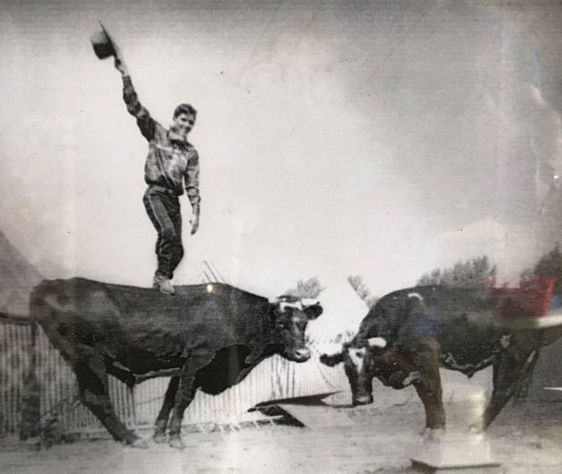 The Show Must Go On - SELT