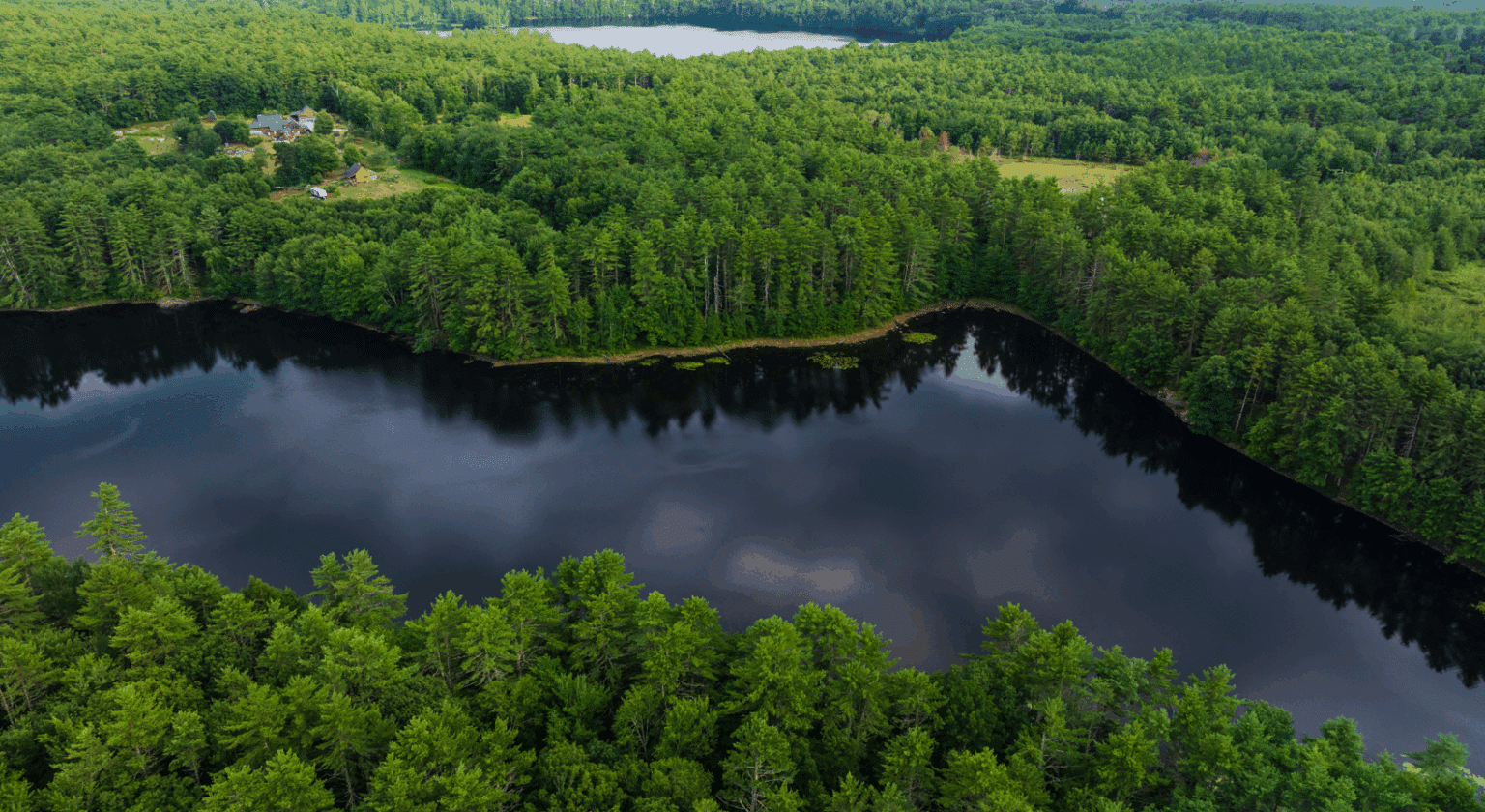 SELT Partners with Gray Family, City of Rochester to Conserve 55 Acres ...